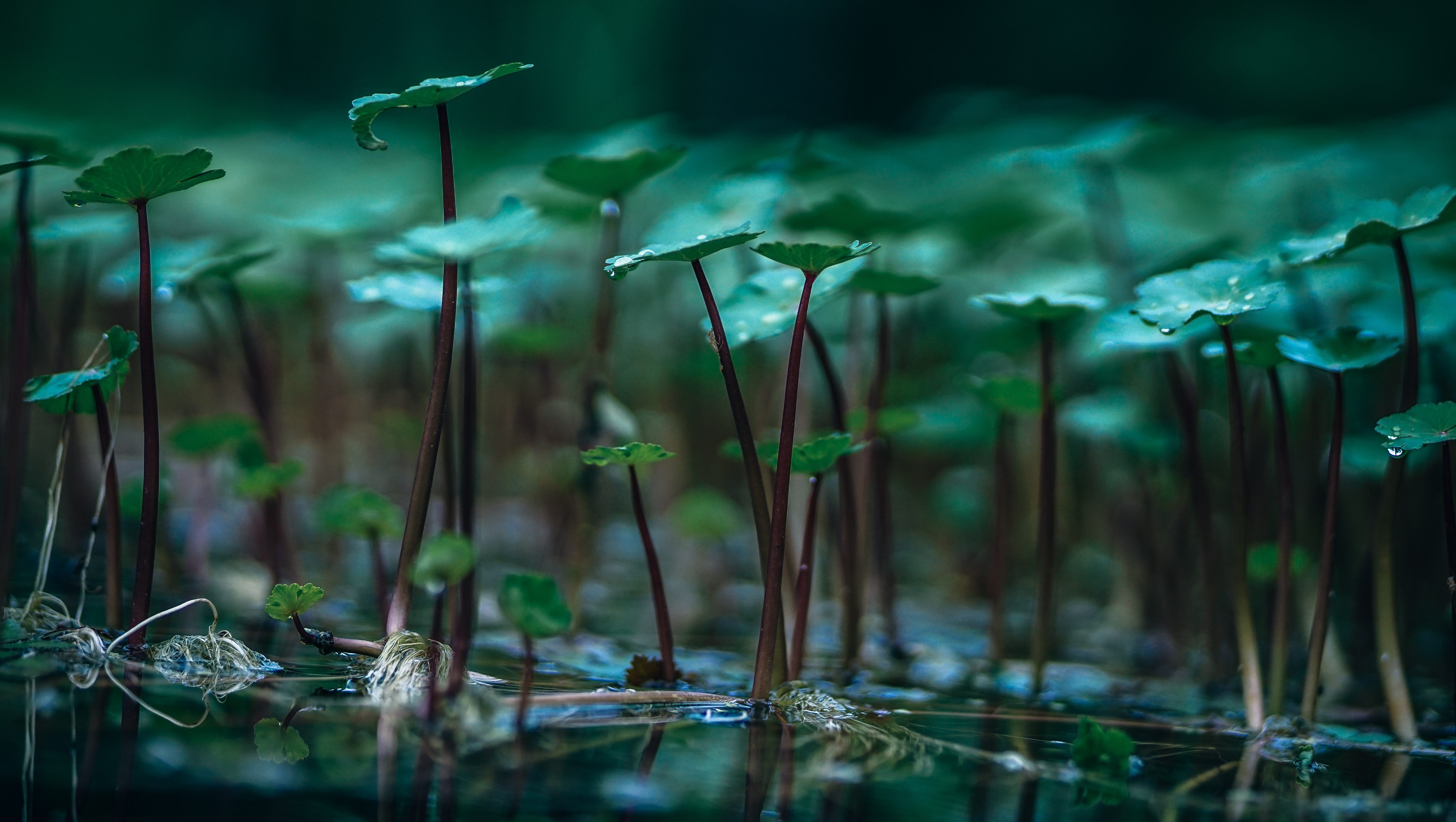 aQuasys - solutions de gestion des ressources en eau